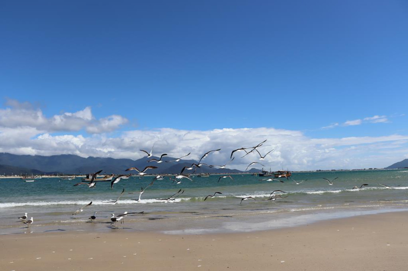 Praia da Pinheira – Guia Turístico de Santa Catarina